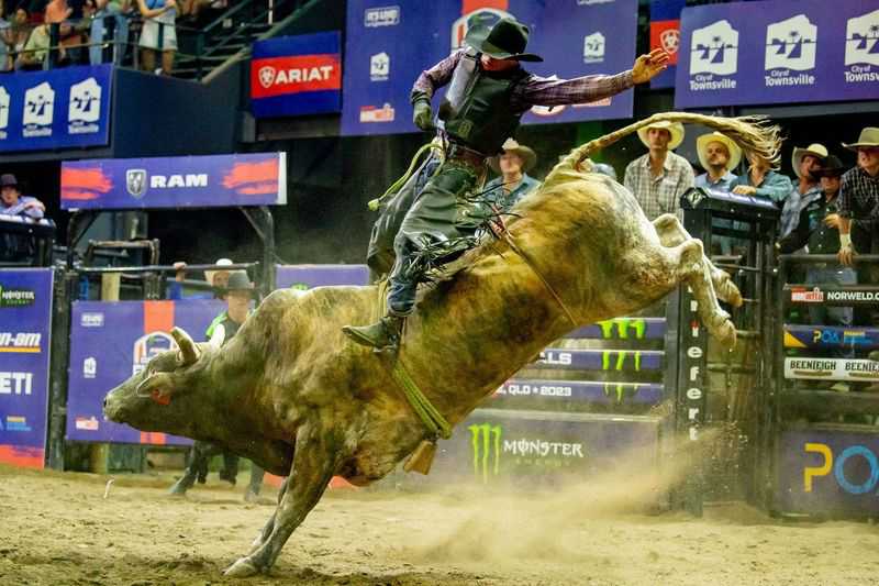 PBR | Bovine's shine early in 2024 as YETI Bull Of The Year race heats up