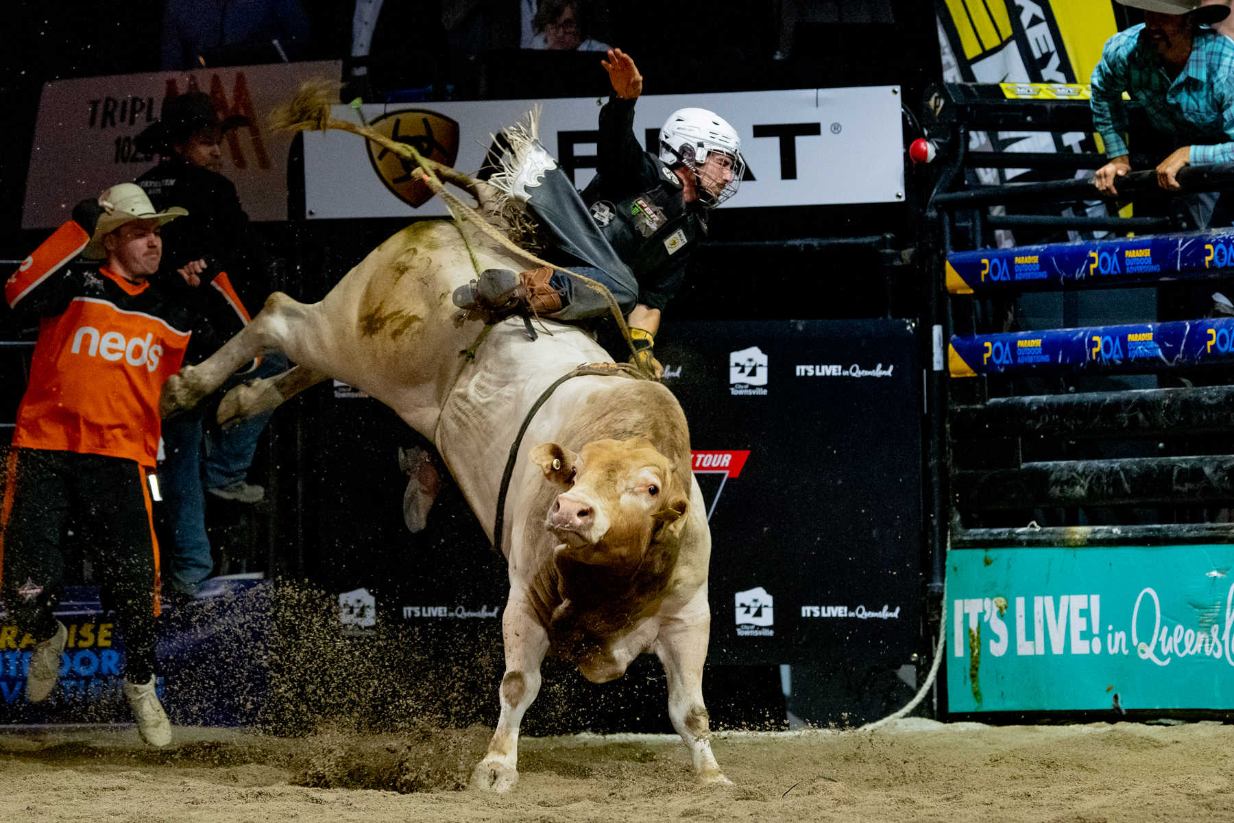 PBR | POA Fully Locked & Loaded Wins 2020 Bull of the Grand Finals ...