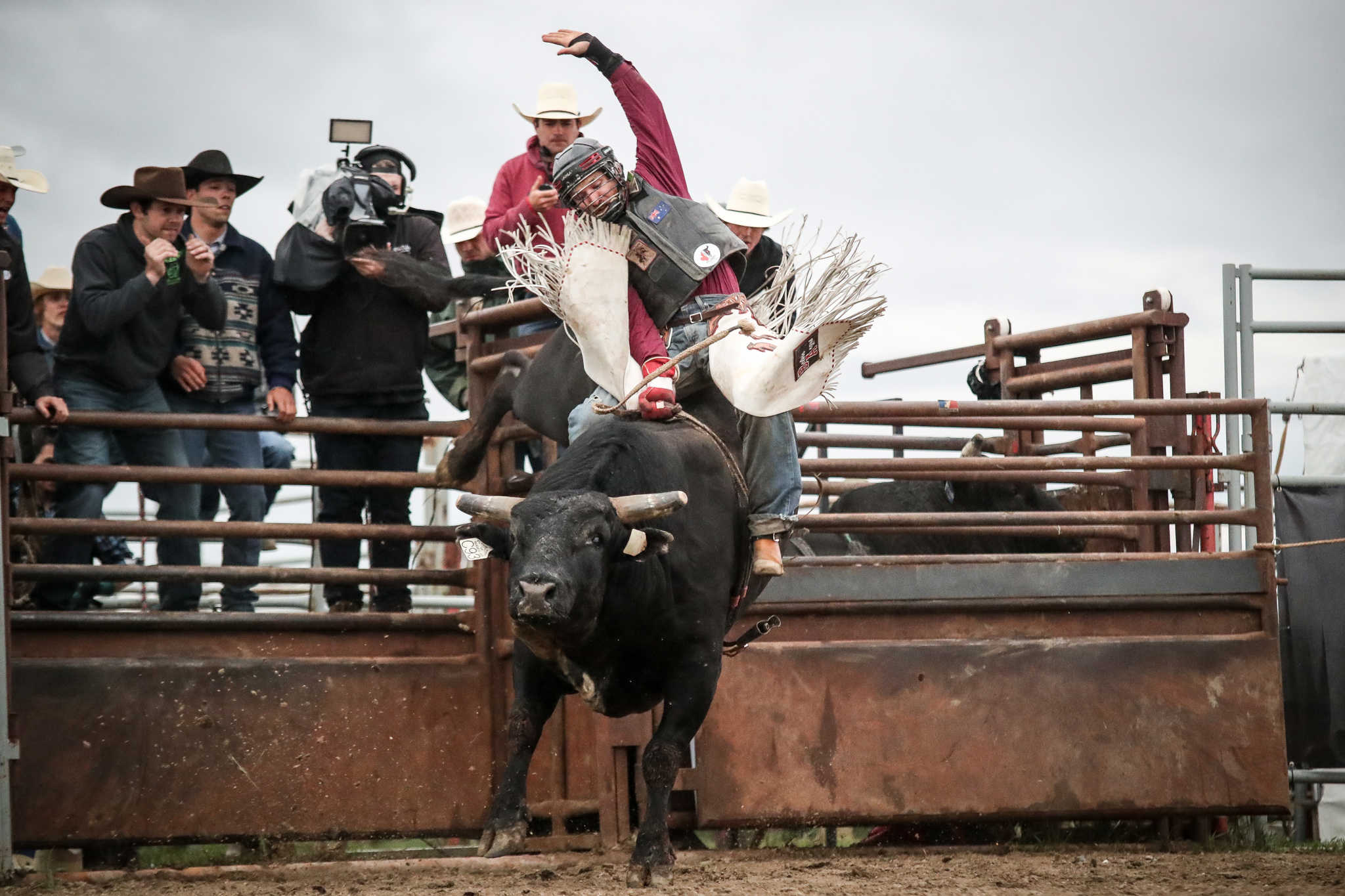 PBR | Queensland’s Callum Miller Third After Opening Night of ...